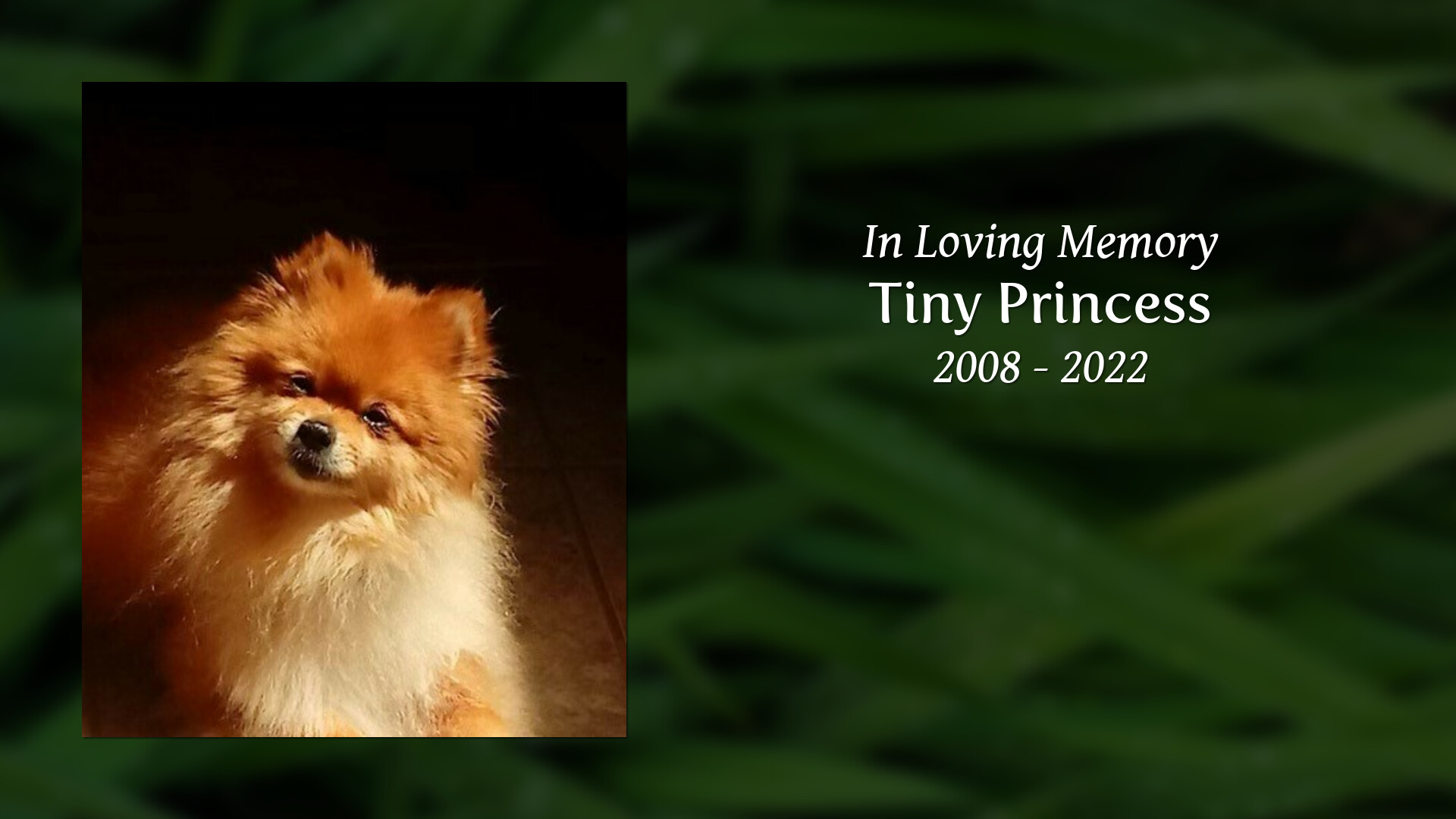 Tiny Princess - Tribute Video