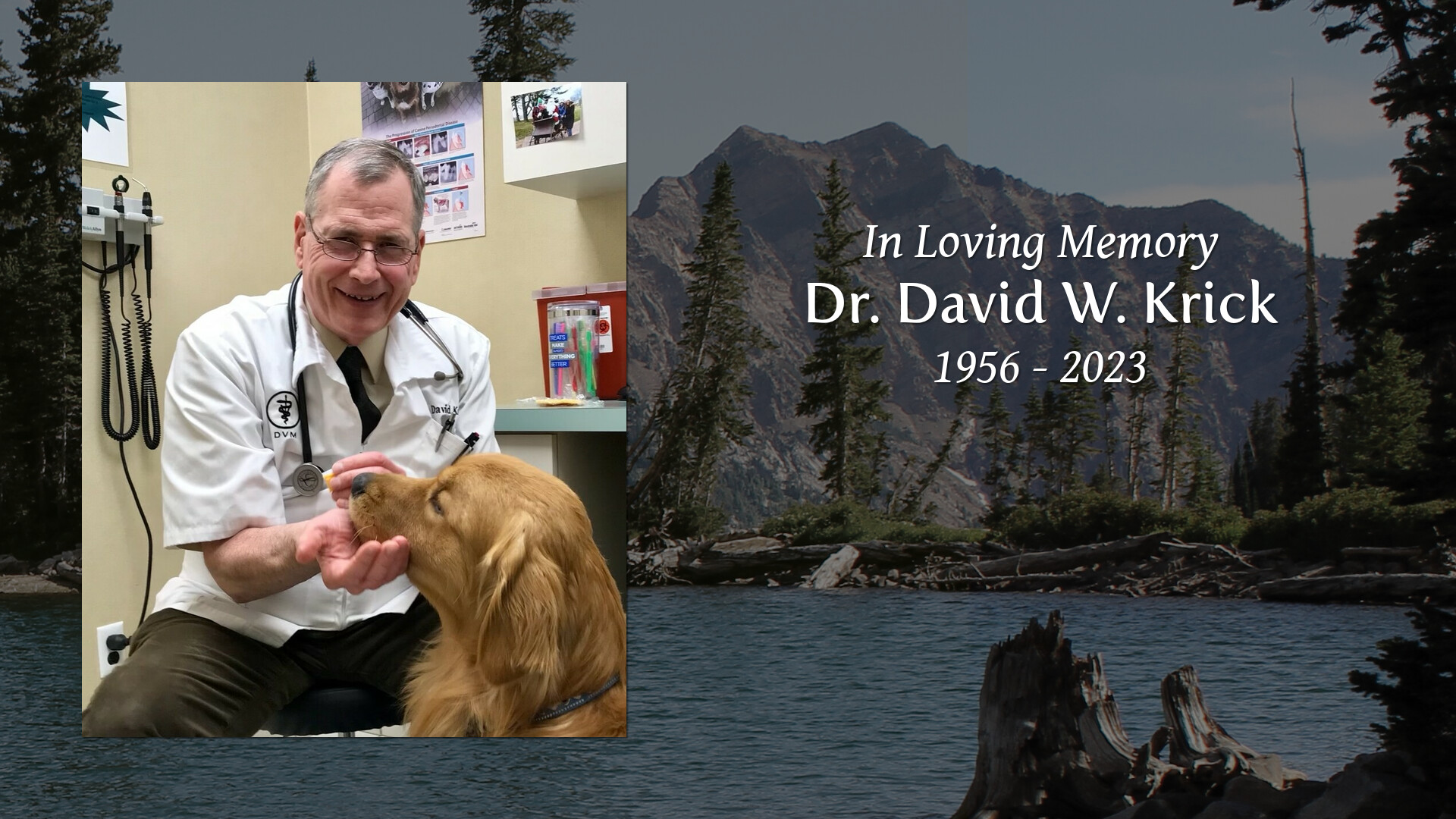 Dr. David W. Krick - Tribute Video
