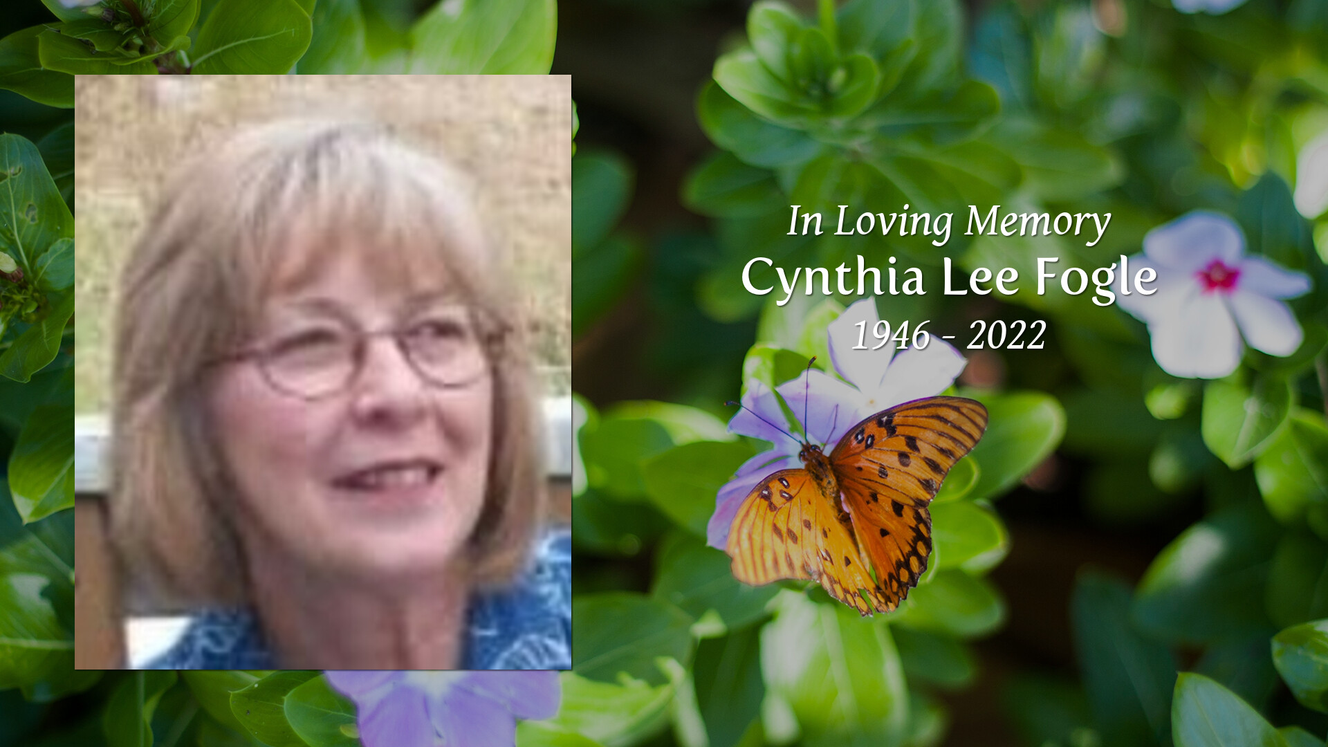 Cynthia Lee Fogle - Tribute Video
