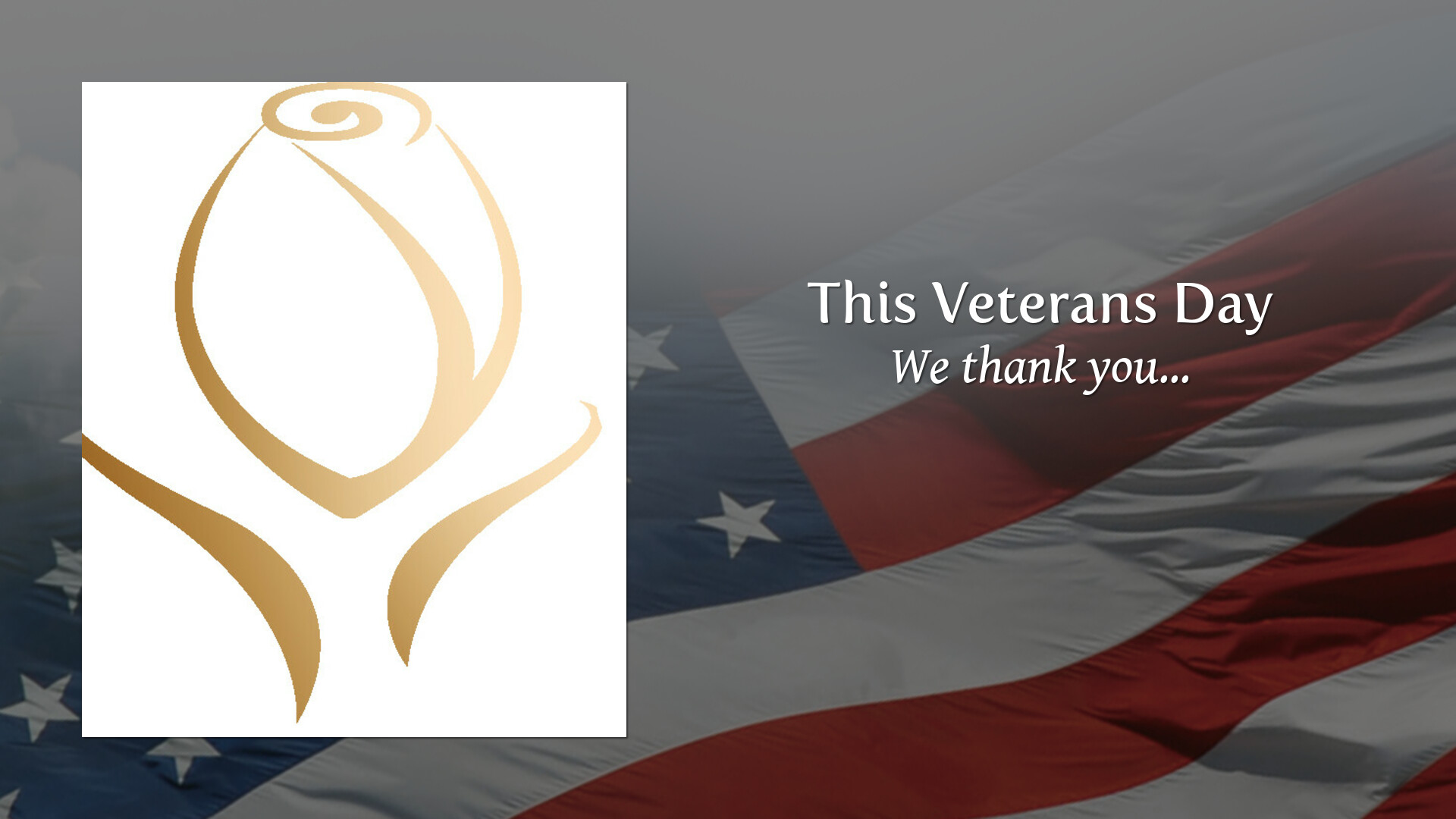 This Veterans Day - Tribute Video