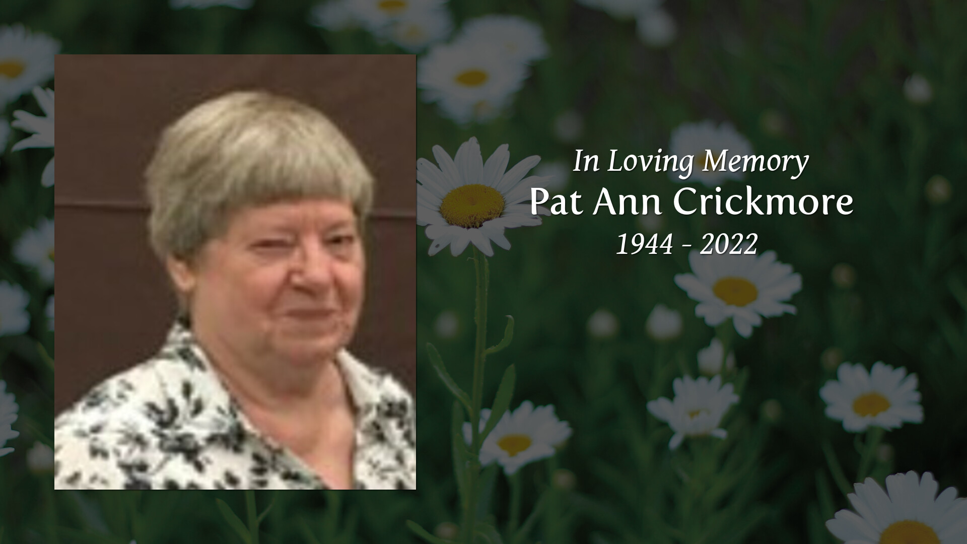 Pat Ann Crickmore - Tribute Video