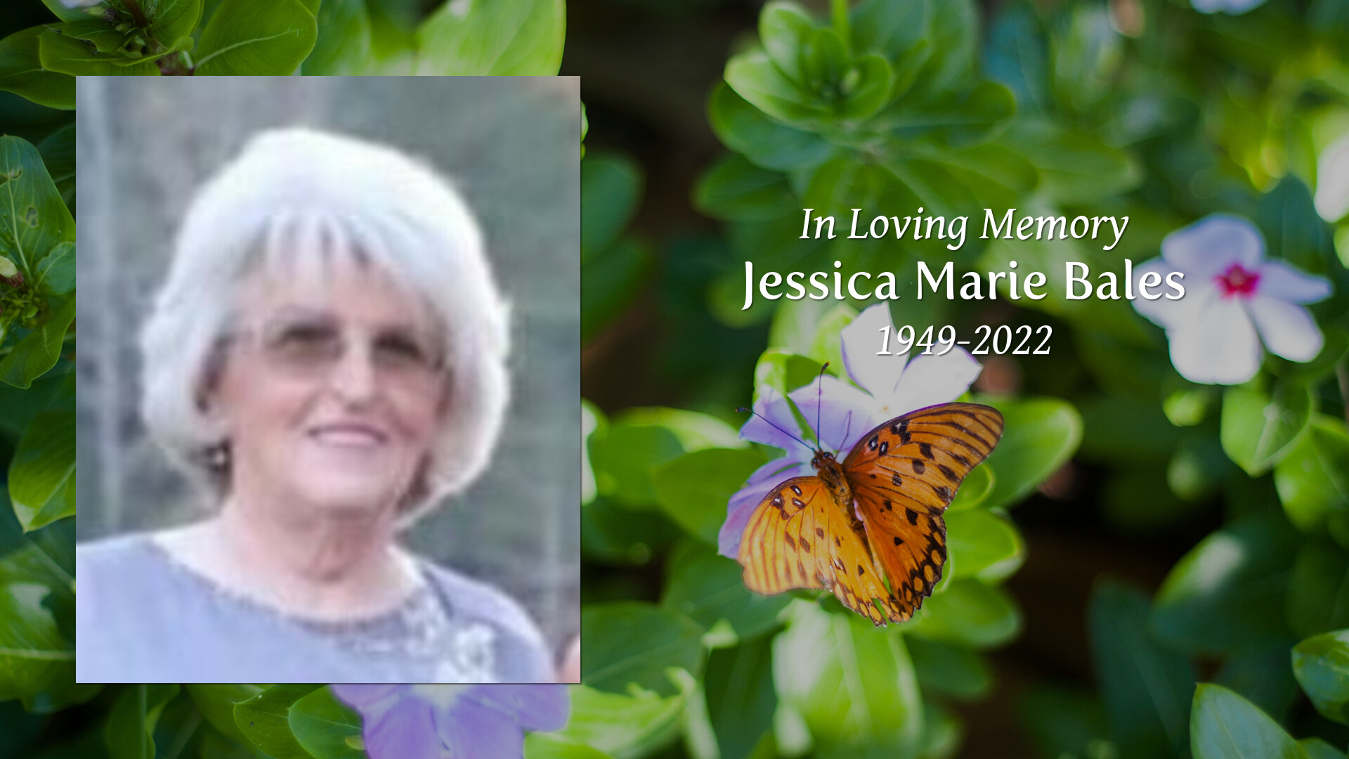 Jessica Marie Bales - Tribute Video