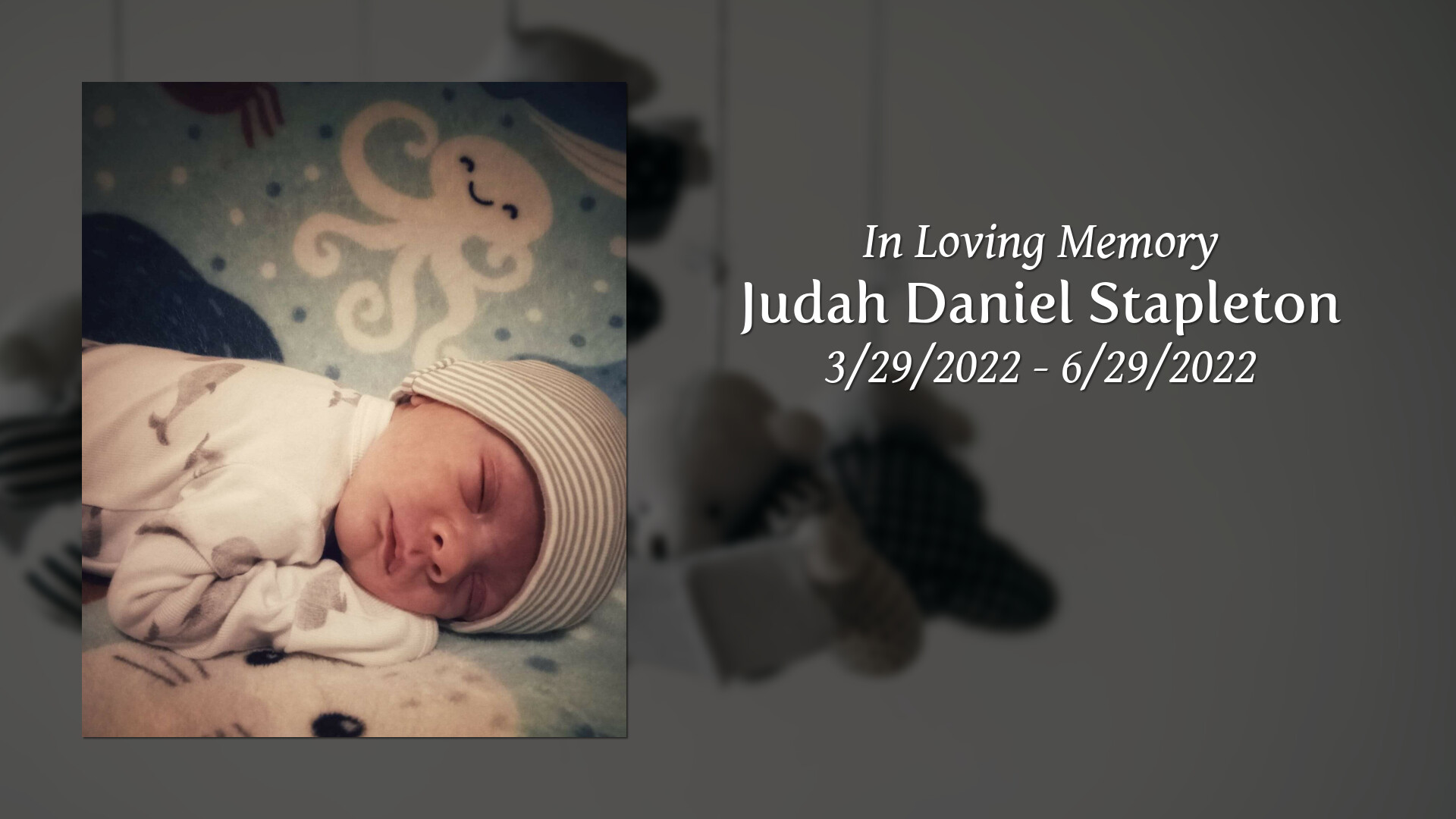Judah Daniel Stapleton - Tribute Video
