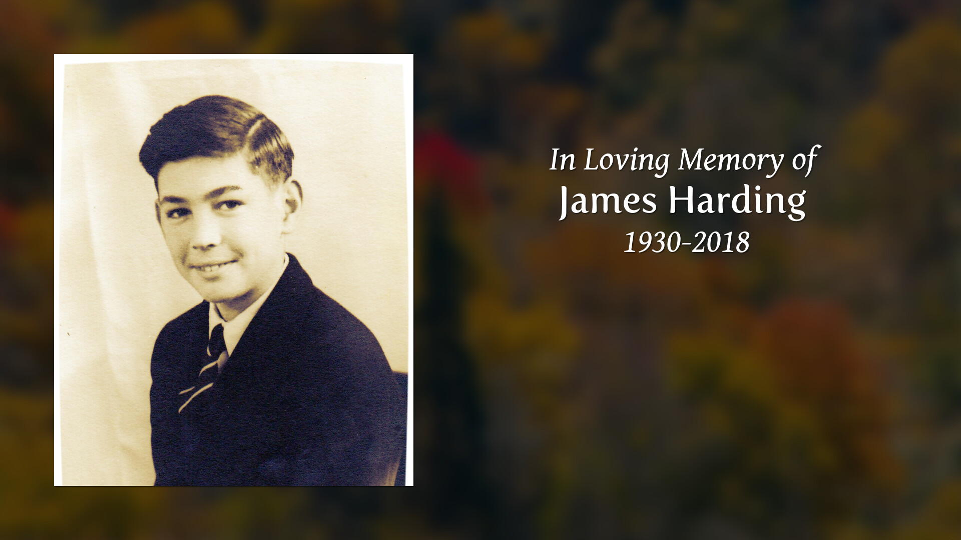 James Harding - Tribute Video