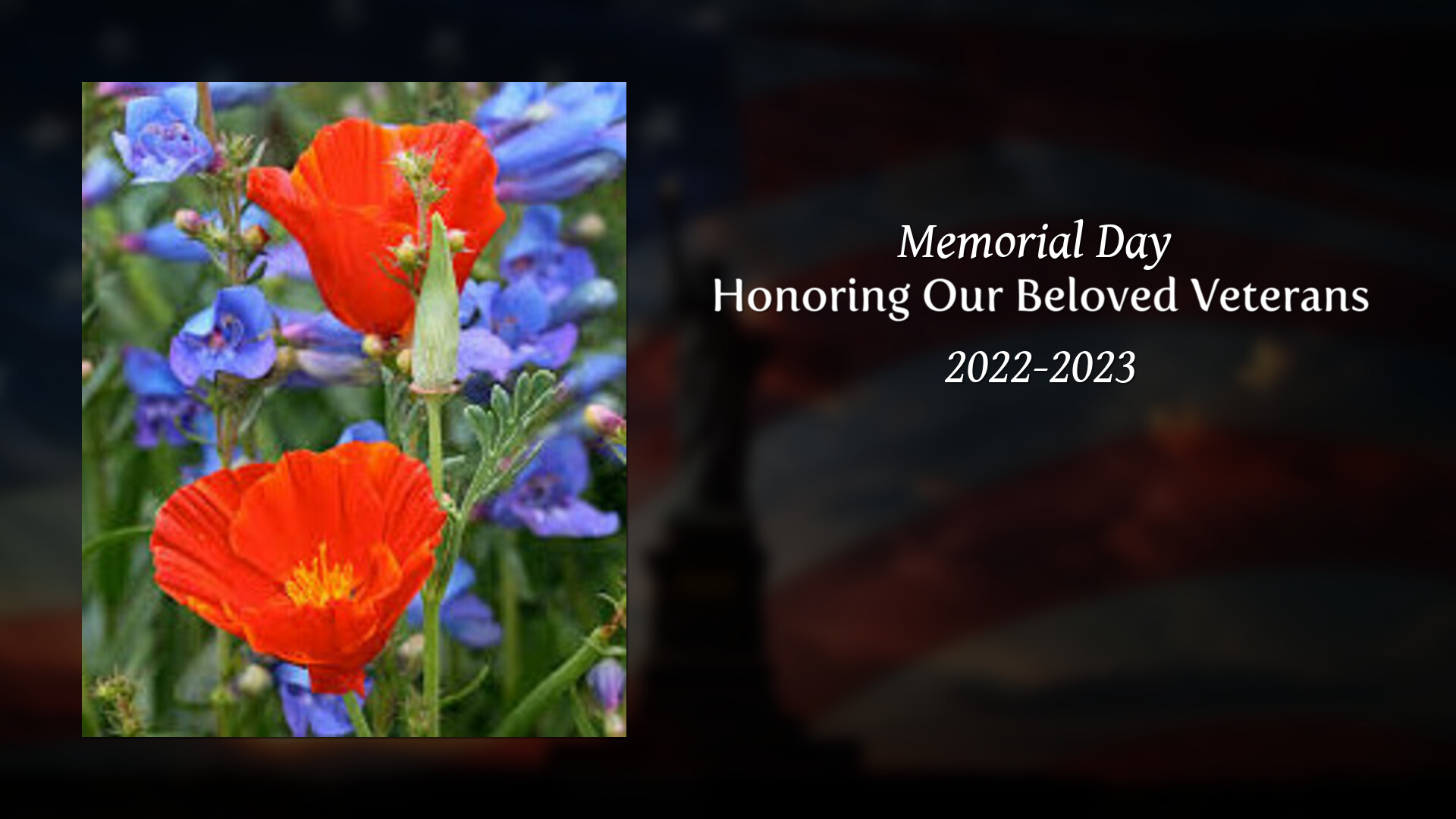 Honoring Our Beloved Veterans - Tribute Video